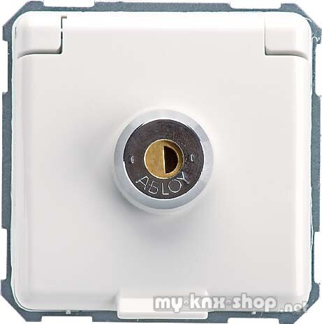 ELSO Steckdose rw verschliessbar 225074, 32,46